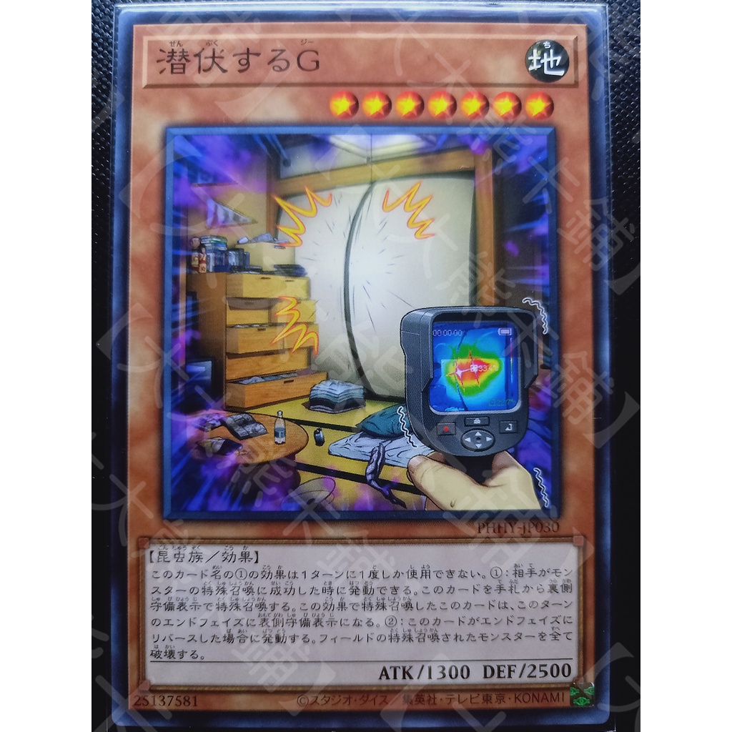 【大大熊卡鋪】PHHY-JP030 潛伏的G (隱普) | 蝦皮購物