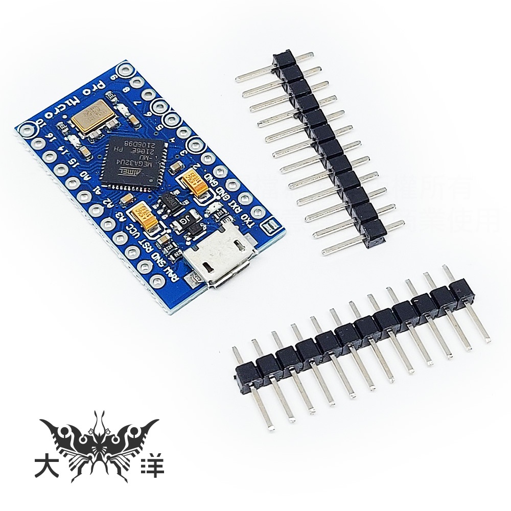 Pro Micro 採用Atmega32U4 5V 16MHz 自身usb更新程式 模組 1302 大洋國際電子 | 蝦皮購物
