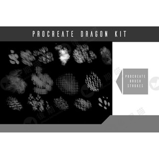 Procreate筆刷 | 16 龍鱗龍皮紋理CG手繪繪畫procreate筆刷 | 蝦皮購物