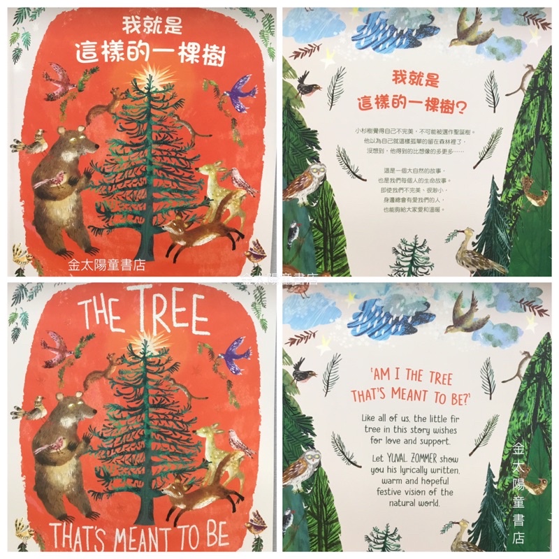 《金太陽》中英繪本大集合/我就是這樣一顆樹（台灣東方）/The Tree That’s Meant To Be | 蝦皮購物