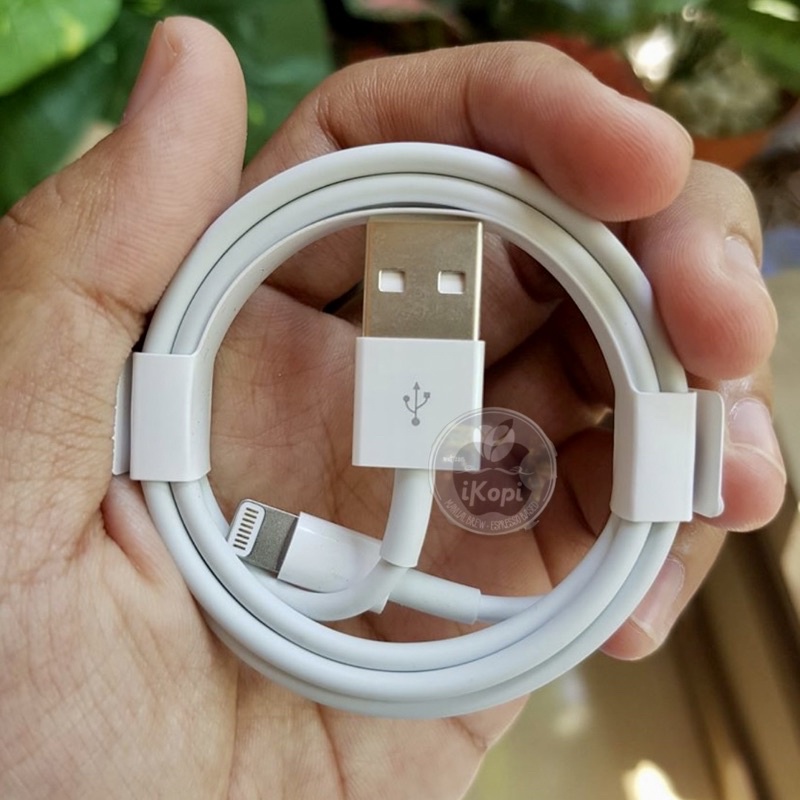 數據線充電器 lPHONE LlGHTNlNG 8 PlN TO USB ces casan 二手原裝未使用 5s SE | 蝦皮購物