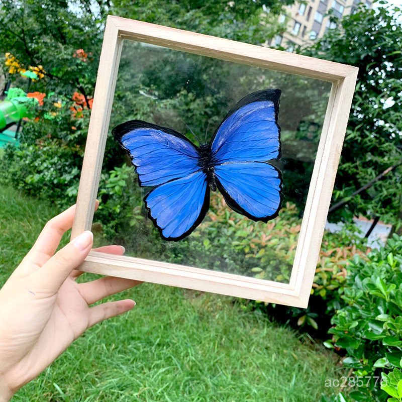 【優選好物】亞剋力玻璃畵框實木相框幼兒園diy繪畵塗鴉手繪美術材料透明標本jioyh RW9Z | 蝦皮購物