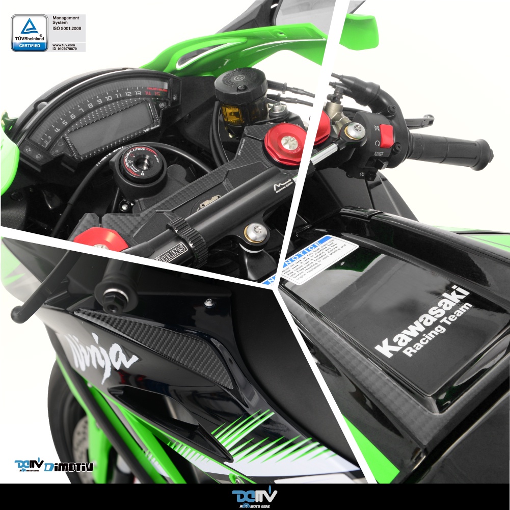 【柏霖】DIMOTIV KAWASAKI ZX-10R 16-20 儀表飾貼 DMV | 蝦皮購物