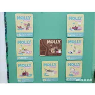 Molly cooking series | 蝦皮購物