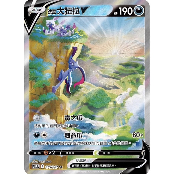 寶可夢 PTCG 大狃拉V S10P F 075/067 SR 異圖 | 蝦皮購物