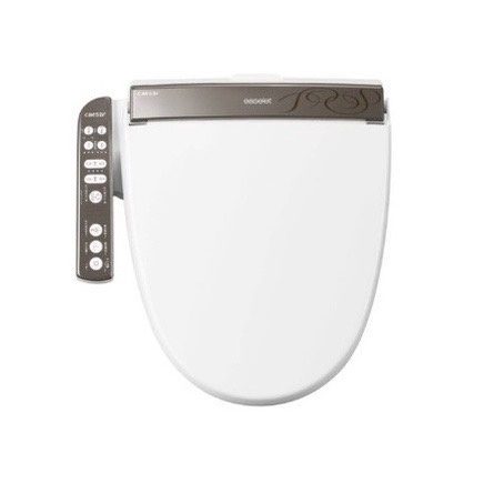 【CERAX洗樂適衛浴高雄草衙店】CARSAR凱撒儲熱式電腦馬桶座，不鏽鋼噴嘴、溫水溫座、幼童洗淨(TAF200)送濾心 | 蝦皮購物