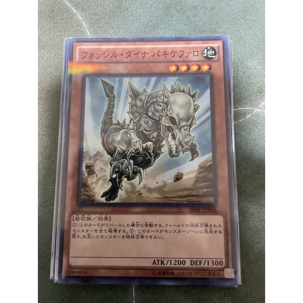 20ap-jp043 化石恐龍 | 蝦皮購物