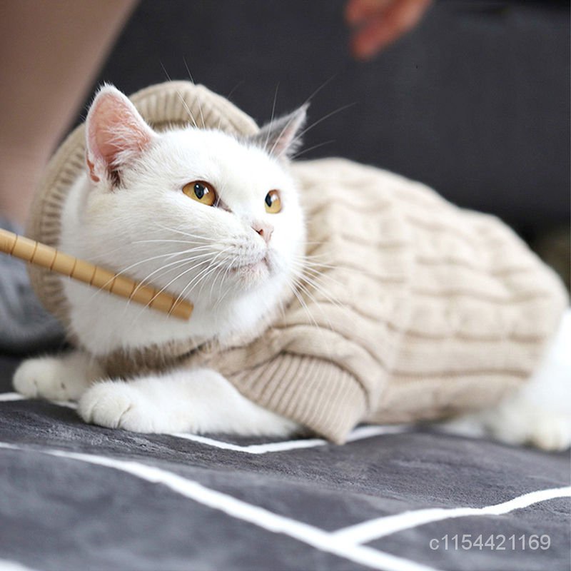 【滿799免運】貓咪衣服鞦鼕裝寵物小貓英短藍貓暹羅無毛貓幼貓保暖可愛加厚毛衣jioyh 5O85 | 蝦皮購物