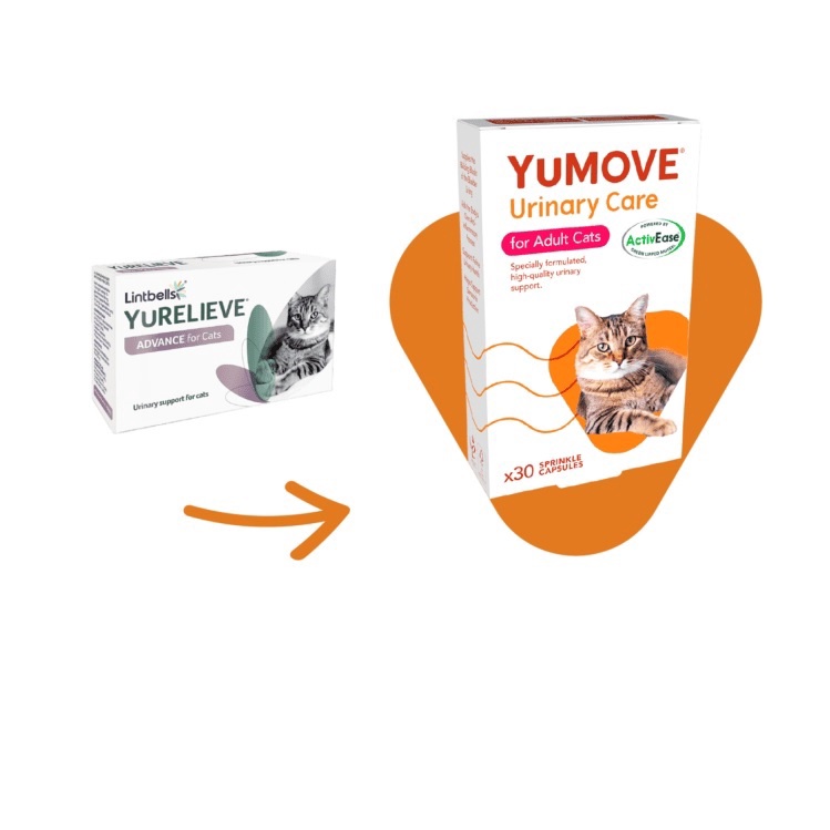 【食尚汪喵】Lintbells-YuRELIEVE ADVANCE for Cats 優泌服 30膠囊 (貓用食品) | 蝦皮購物