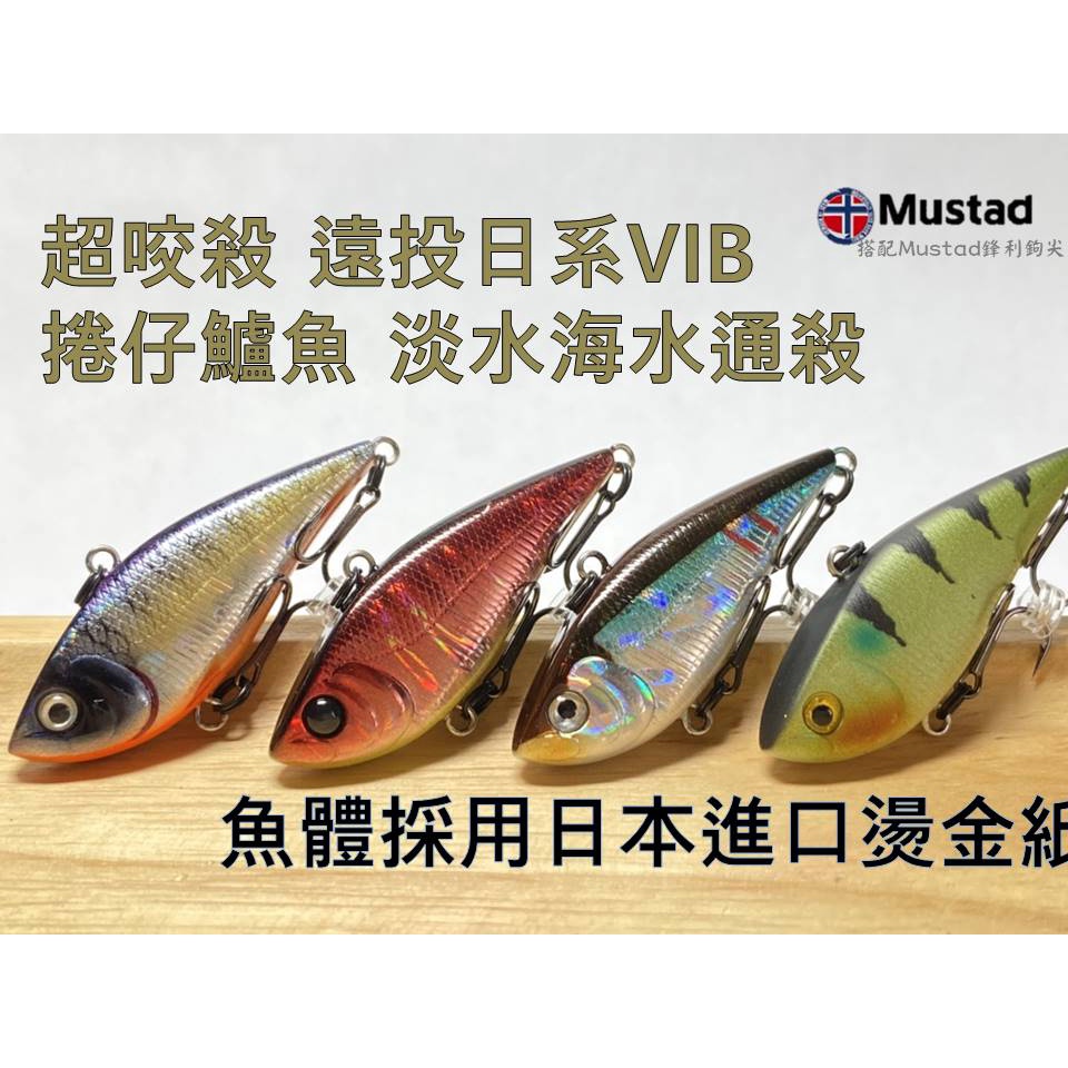 日系路亞 VIB 顫泳 路亞硬餌 帶響珠 搭配慕斯達鉤 6g/10g 震動硬餌 鱸魚 海鱸 捲仔 曲腰 通殺 黑鯛 根魚 | 蝦皮購物