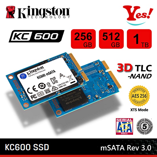 【Yes！台灣公司貨】升級Kingston 金士頓 KC600 mSATA 1024G 1TB TLC SSD 固態硬碟 | 蝦皮購物