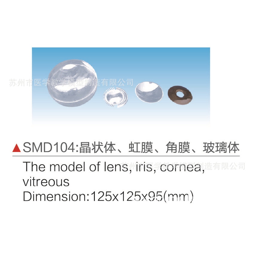 SMD104晶狀體、虹膜、角膜、玻璃體 | 蝦皮購物