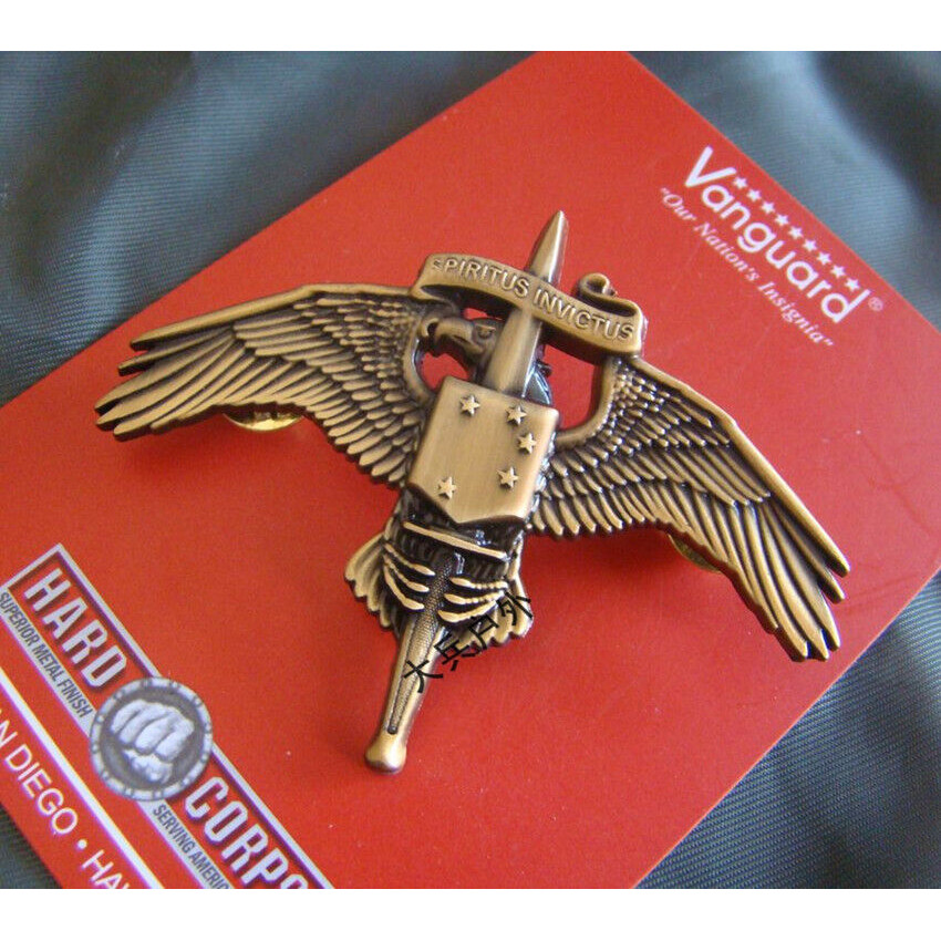 USMC 海軍陸戰隊特種部隊 MARSOC RAIDER 軍團徽章別針青銅 | 蝦皮購物