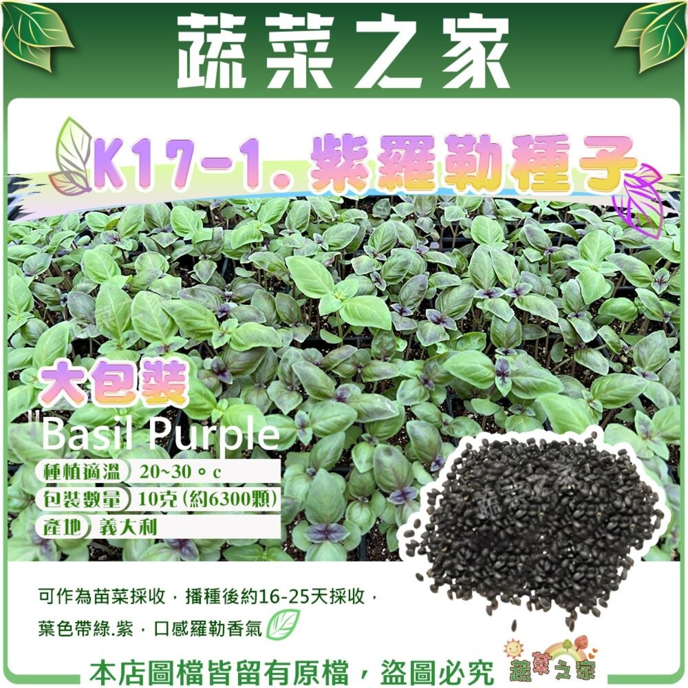 【蔬菜之家滿額免運】大包裝K17-1.紫羅勒種子 // 種子 羅勒種子 香草種子 可作為苗菜採收，播種後約16-25天採 | 蝦皮購物