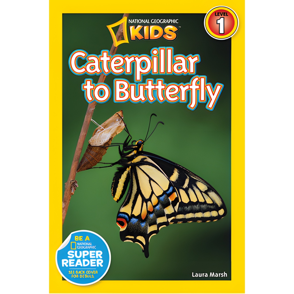 National Geographic Readers: Caterpillar to Butterfly/Laura Marsh ...