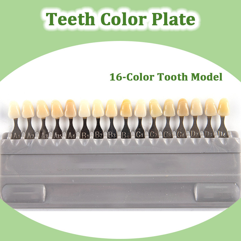 【牙齒彩盤】牙科材料/技術員工具-牙科色素板/16色牙模【A1~D4】 | 蝦皮購物