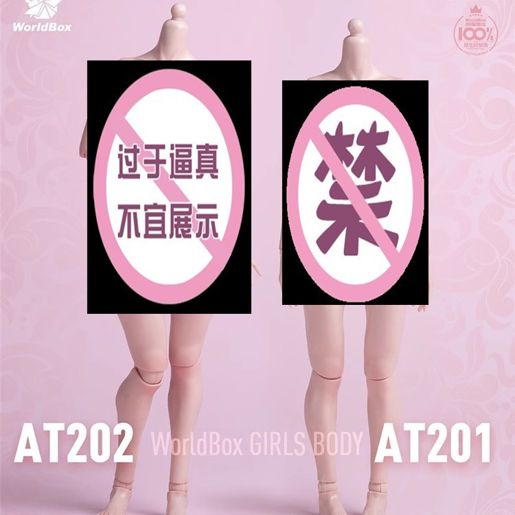 【精品】現貨 耐操 Worldbox 1 6 關節可動女素體 At201 標準 At202肥腿版 蝦皮購物