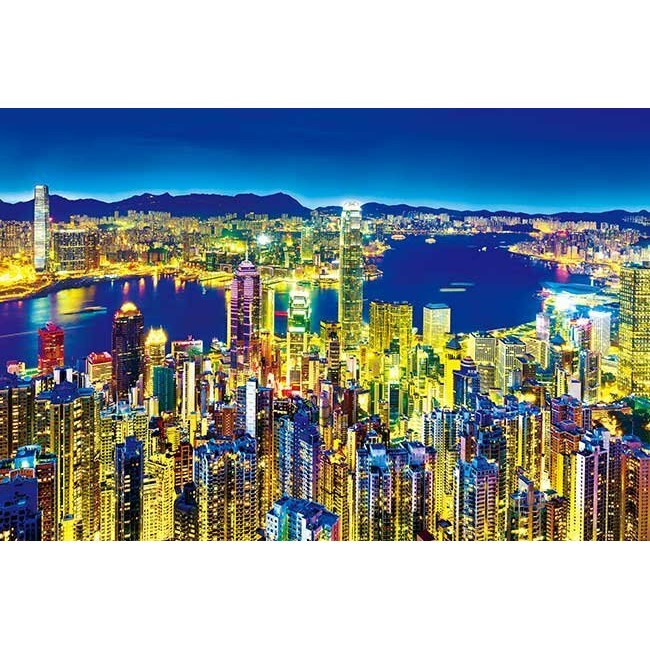 APPLEONE｜1000片夜光拼圖｜世界景觀【香港星夜】｜城市寫真｜1000-784 | 蝦皮購物