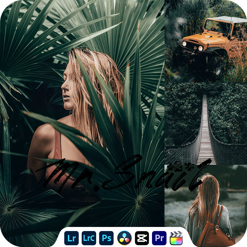 Lightroom預設｜綠野穆迪剪映預設LR預設ps調色pr濾鏡lightroom油管lut | 蝦皮購物