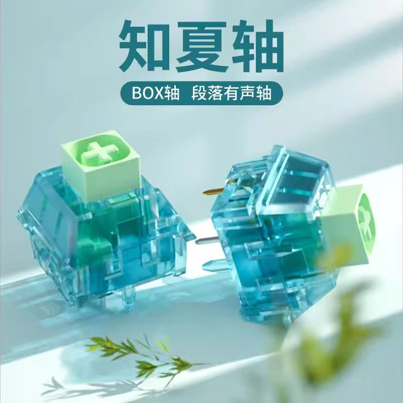 【現貨】全新凱華知夏軸Box五腳有聲段落青軸體廠潤清脆空靈機械鍵盤開關 可贈送拔軸拔鍵器 39VY | 蝦皮購物
