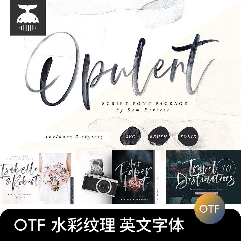 手繪現代水墨書法質感英文字體 Opulent Font SVG字體包ai/PS | 蝦皮購物