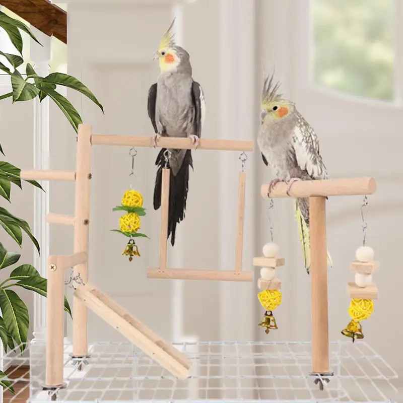 Parrot Play Stand Cockatiel Macaws Finch Budgie 的鸚鵡遊樂場鸚鵡遊戲架 | 蝦皮購物