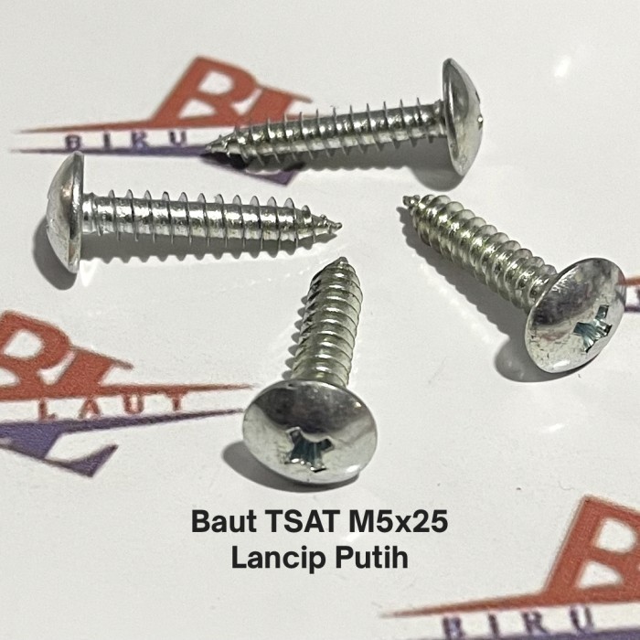 Mesin PUTIH 完整 TSAT M5x25 錐形螺栓白色錐形蜗杆螺栓 M5x25 齒輪箱洗衣機螺栓 | 蝦皮購物
