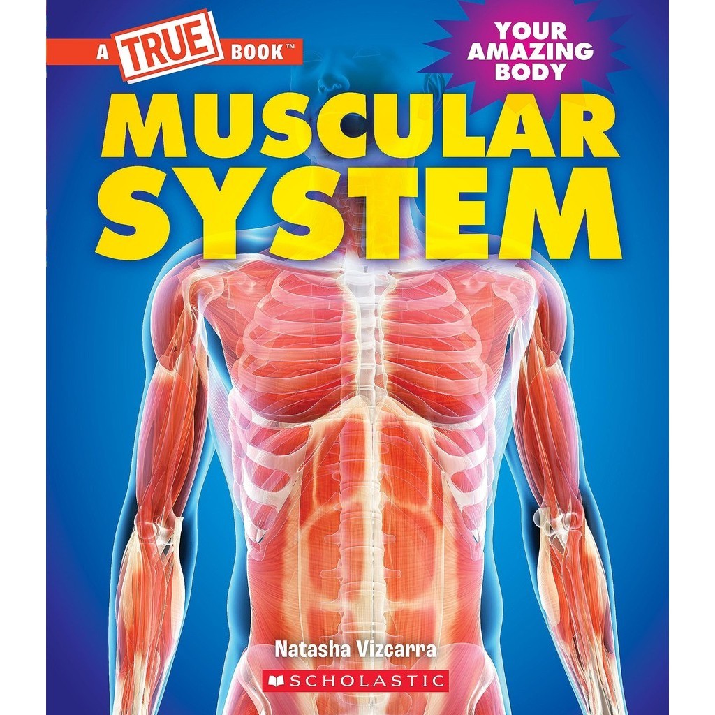 A True Book: Muscular System/Natasha Vizcarra【禮筑外文書店】 | 蝦皮購物