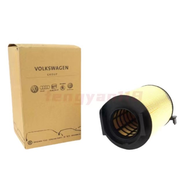 VW Golf 5 6 A3 Jetta Mk5 Caddy YETI Beetle 空氣濾芯 1F0129620 | 蝦皮購物