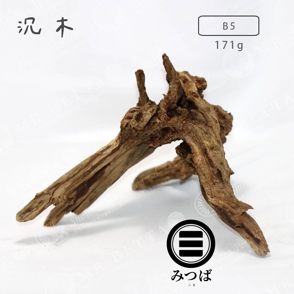 沉木 B5 - 171g 【SBP展鬥期刊】禪意 沉木 雷龍 原鬥 短雕 造景 爬蟲 昆蟲 繁殖 躲避 | 蝦皮購物