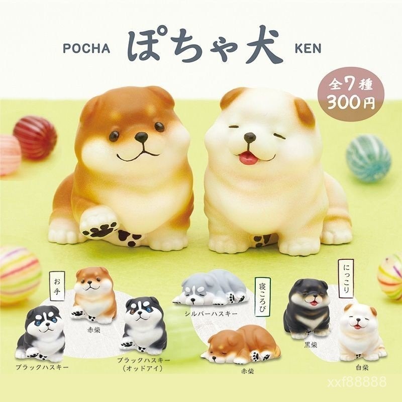 奇譚俱樂部 Kitan 肥嘟嘟的柴犬可愛胖狗狗擺件模型日本正版散貨 BNFT | 蝦皮購物