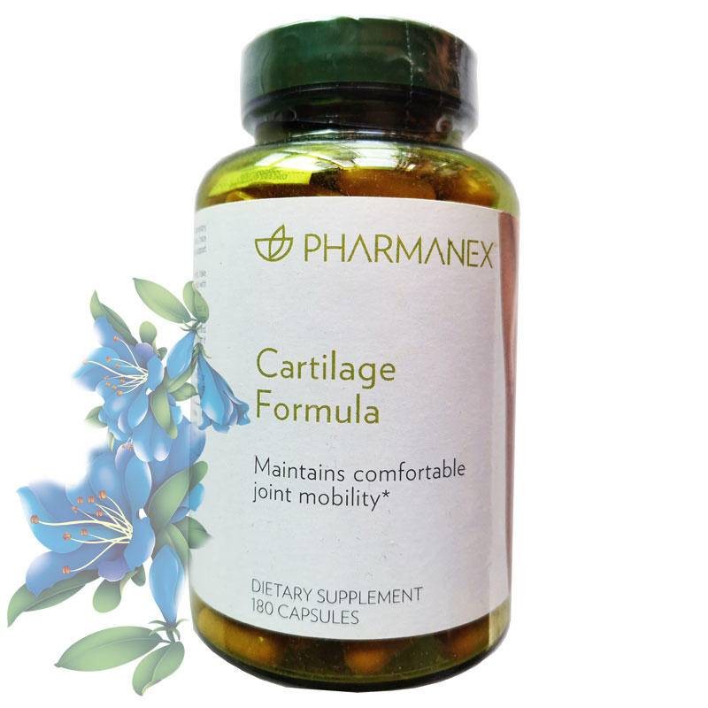 【MR NU如新】26年1月美國如新nuskin關節素軟骨關節配方Cartilage Formula骨骼 | 蝦皮購物
