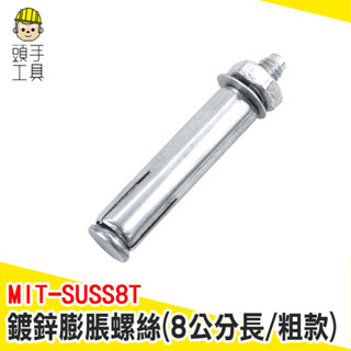 8公分壁虎 鍍鋅壁虎 外牙膨脹螺絲 外迫壁虎 螺栓 白鐵螺絲 五金 特殊螺絲 鑽尾 鍍鋅膨脹螺絲 MIT-SUSS8T | 蝦皮購物