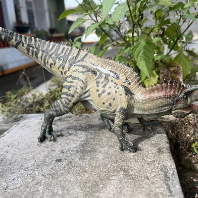 正版現貨PAPO高棘龍2018年 高棘龍 阿克羅肯龍 遠古恐龍模型55062絕版模型 | 蝦皮購物