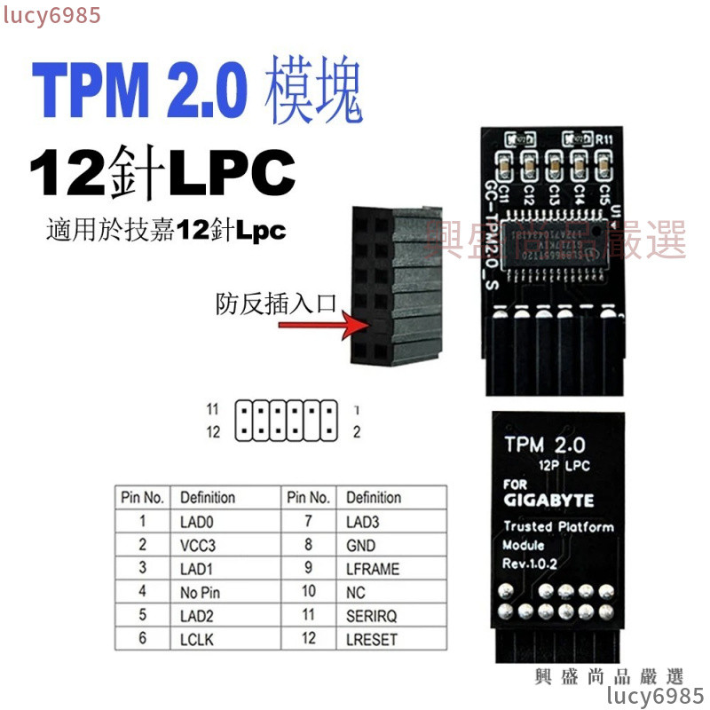 免運下殺 TPM2.0模塊LPC12針適用於技嘉GC-TPM2.0_STPM模塊（12針12-1） | 蝦皮購物