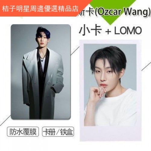 奧斯卡(Ozcar Wang) 周邊小卡100張不重復自制3寸圓角拍立得卡貼 拍立得小卡 圓角小卡 啞膜亮膜小卡錢包小卡 | 蝦皮購物