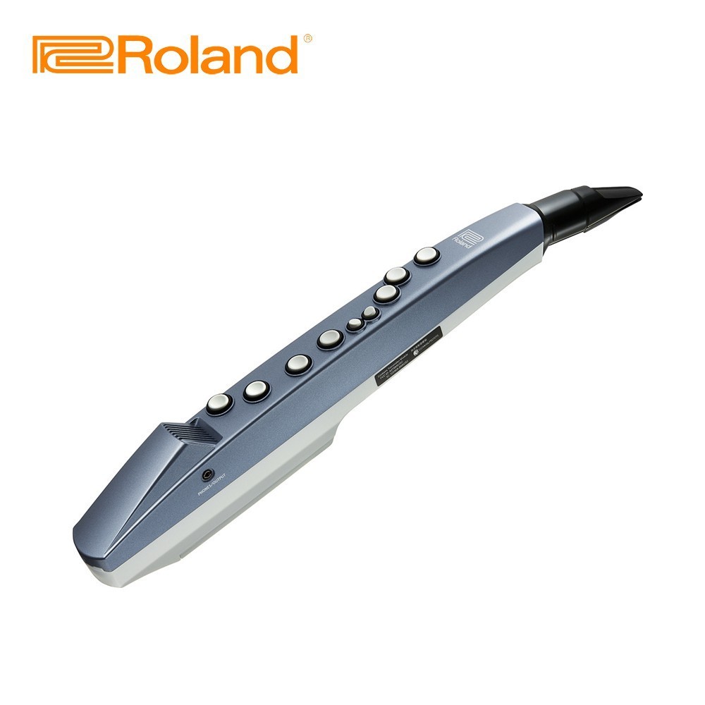 (請先確認有無現貨) ROLAND AE-01 Aerophone mini 數位吹管【敦煌樂器】 | 蝦皮購物