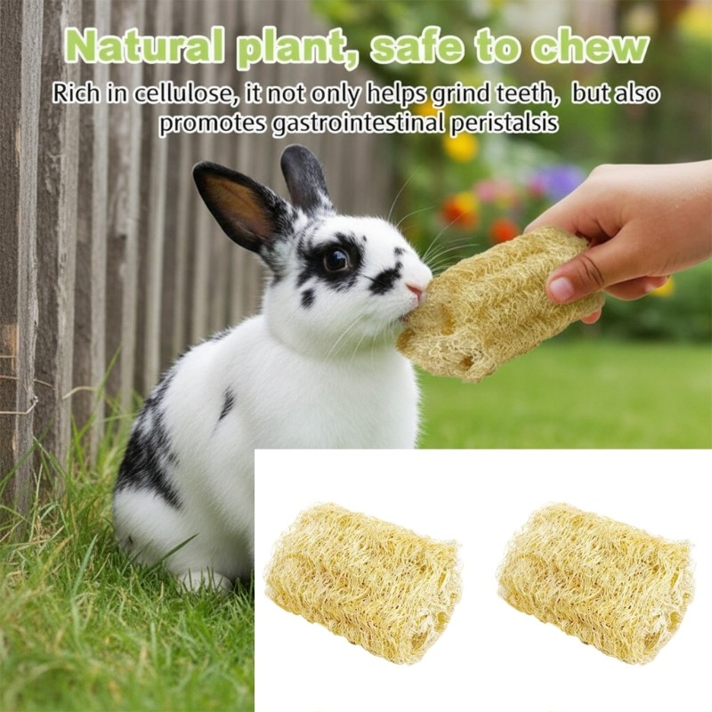Dream Loofah Chew Toy 適合兔子形狀的老鼠的天然趣味玩具兔子玩具,用於緩解牙齒健康和無聊 | 蝦皮購物