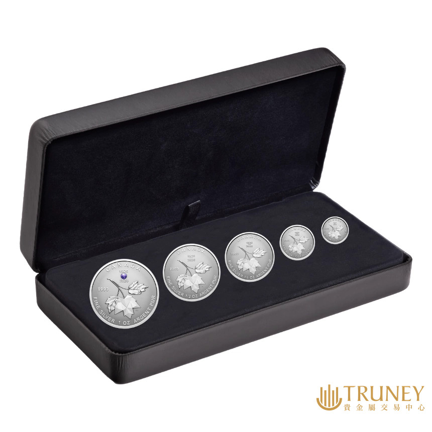 【TRUNEY貴金屬】2026加拿大 - 慶祝伊莉莎白二世女王誕辰100週年紫水晶反向精鑄銀幣 5 枚套組 | 蝦皮購物