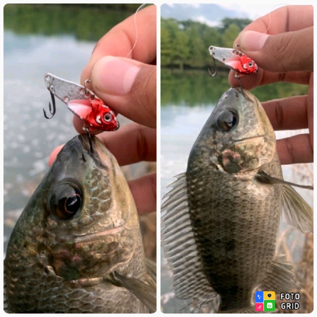 【LUZ路亞】【現貨】土撥鼠VIB 4.5g 迷你 雞爪鉤 微物 遠投 路亞餌 假餌 根魚 魚 黑格 吳郭魚 鮕呆 亮片 | 蝦皮購物