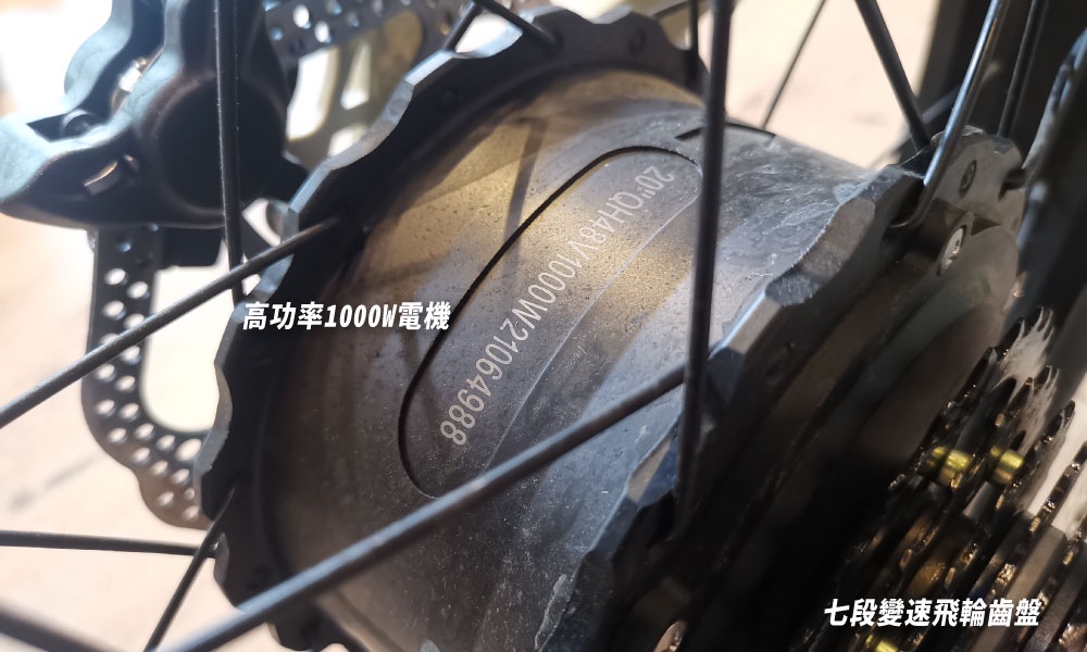 藍克雷斯Lankeleisi G550plus 1000W電機 大叉版可折疊 電動輔助自行車《亞果平衡車》實體店面 | 蝦皮購物