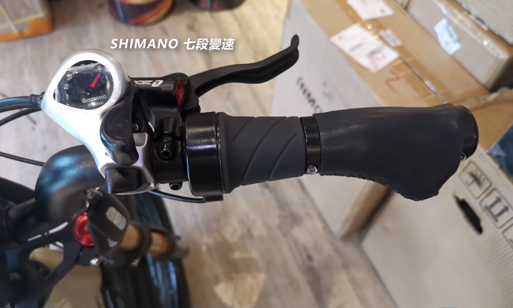 藍克雷斯Lankeleisi G550plus 1000W電機 大叉版可折疊 電動輔助自行車《亞果平衡車》實體店面 | 蝦皮購物