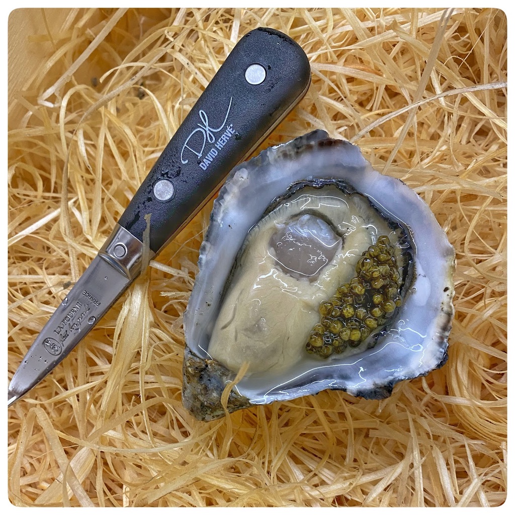 David Hervé 大衛赫維。原廠生蠔刀 La Fourmi Oyster Knife 法國製造 | 蝦皮購物