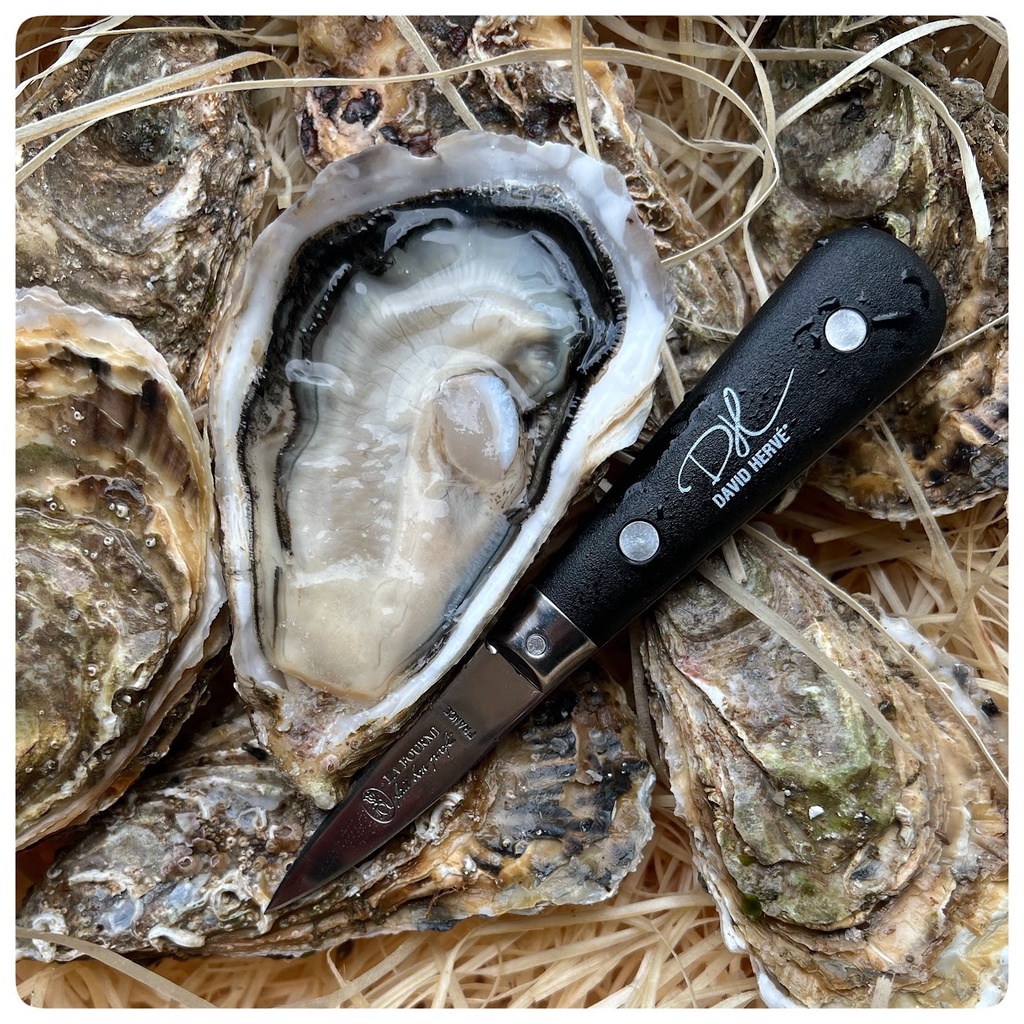 David Hervé 大衛赫維。原廠生蠔刀 La Fourmi Oyster Knife 法國製造 | 蝦皮購物