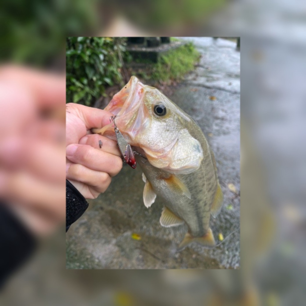 【LUZ路亞】【現貨】二代土撥鼠VIB 3.5g／7g 假餌 鐵板 亮片 T尾 米諾 亮片 軟蟲 根魚 顫泳 路亞假餌 | 蝦皮購物