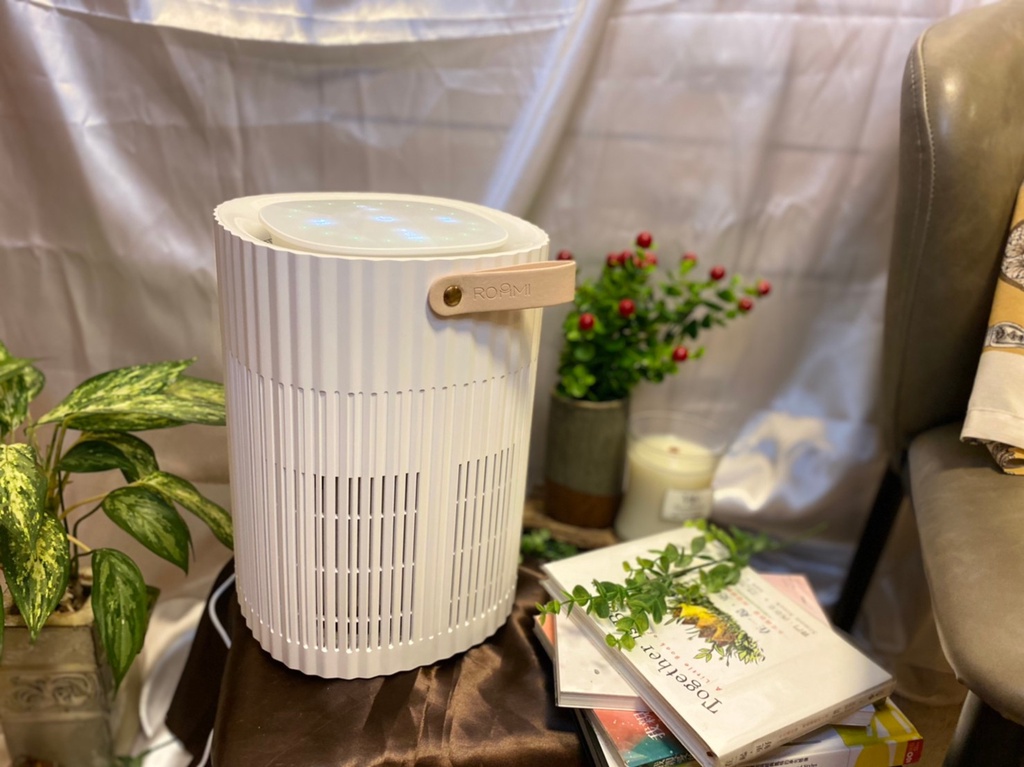 ROOMMI Baby's Breath 空氣清淨機 INS風格 網美最愛 房間一定要擁有 | 蝦皮購物