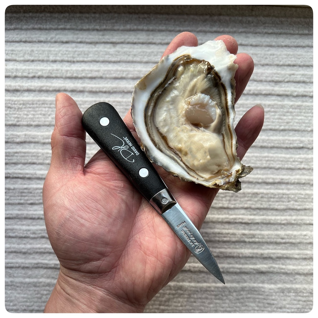 David Hervé 大衛赫維。原廠生蠔刀 La Fourmi Oyster Knife 法國製造 | 蝦皮購物