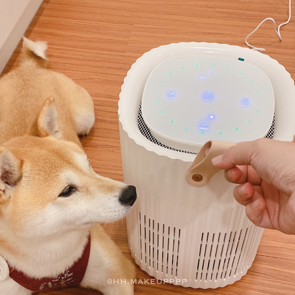 ROOMMI Baby's Breath 空氣清淨機 INS風格 網美最愛 房間一定要擁有 | 蝦皮購物