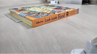 Look Inside Food知識翻翻書_Emily Bone,d Benedet【T5／少年童書_BHV】書寶二手書 | 蝦皮購物