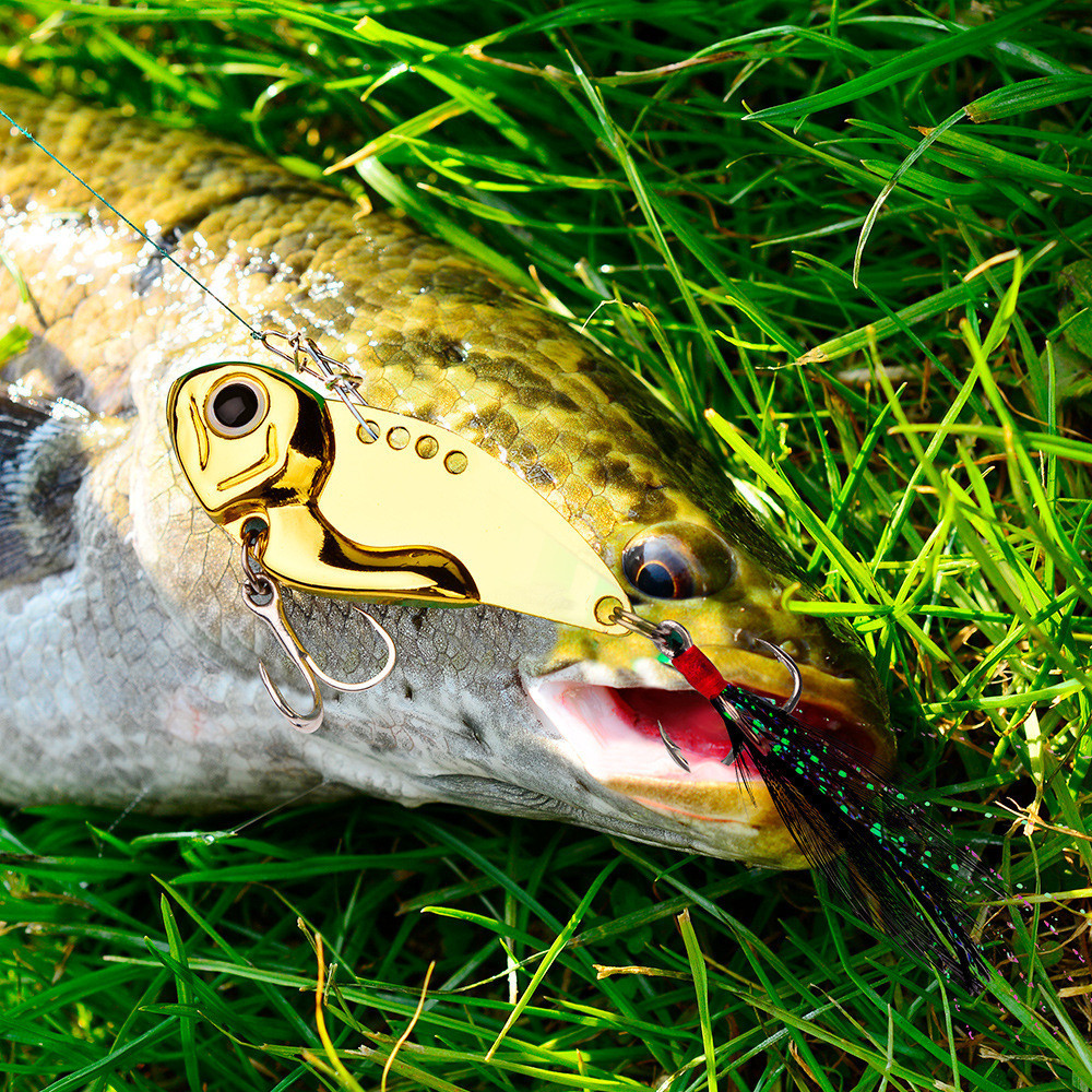 【TTFF】金屬亮片路亞餌7/11g顫動逗逗VIB路亞假餌翹嘴海鱸魚仿生餌遠投餌批發 | 蝦皮購物